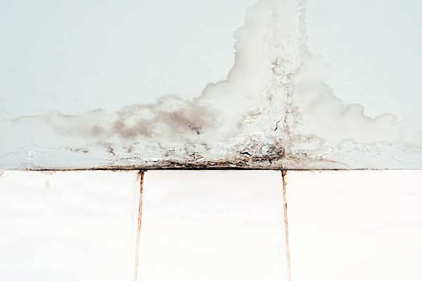 10 All-Too-Common Flat Roof Problems | American WeatherStar